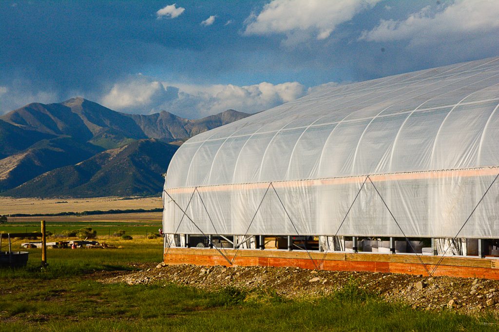 Boot Ranch Farms • Home